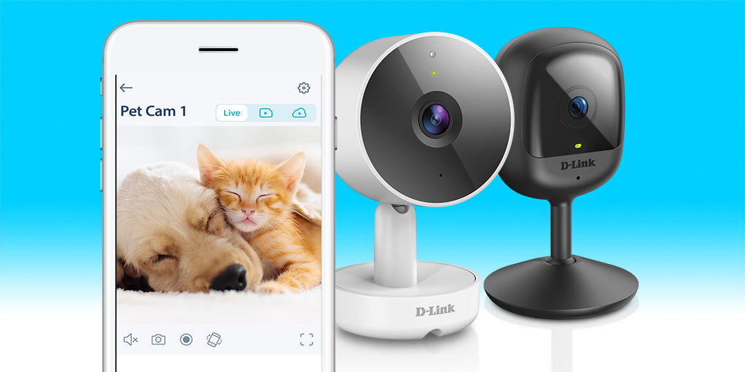 Keep an Eye on What Matters: The Benefits of Wi-Fi Cameras for Home Se ...